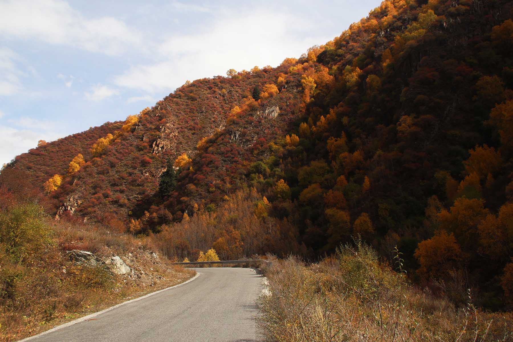 Wild Sichuan In-depth Hiking Tour - 24 Days