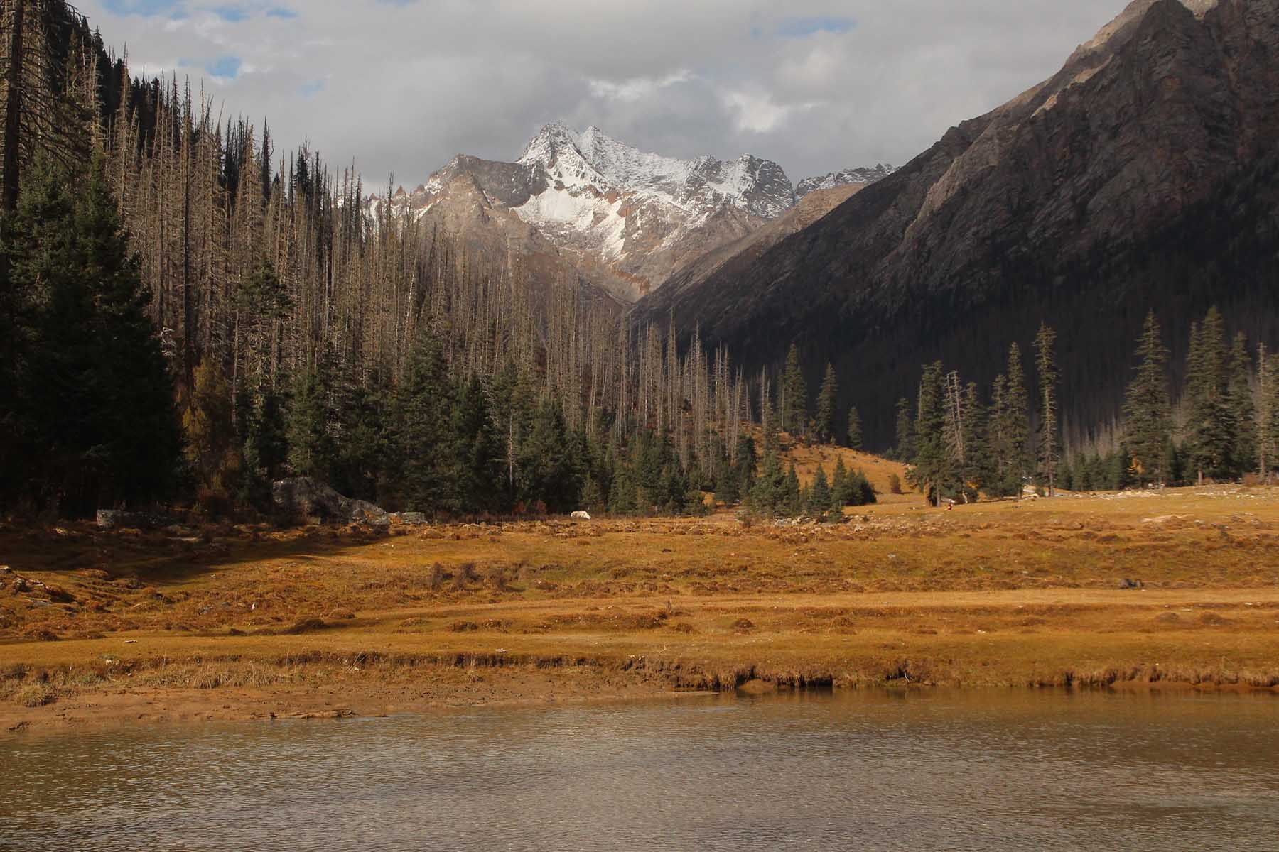 Wild Sichuan In-depth Hiking Tour - 24 Days